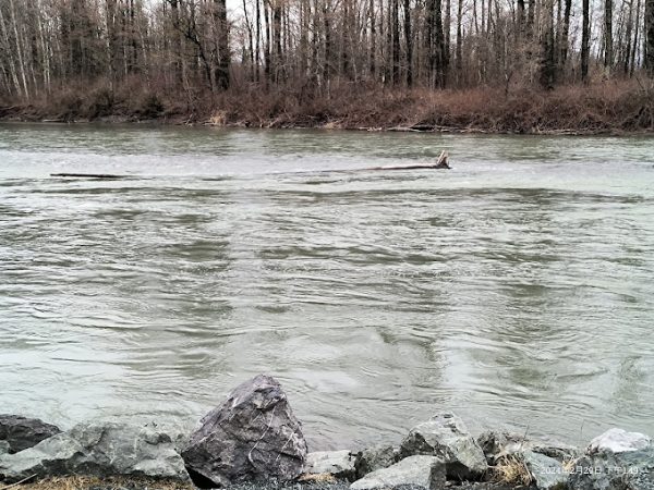 Vedder River Campground - Living the RV Life